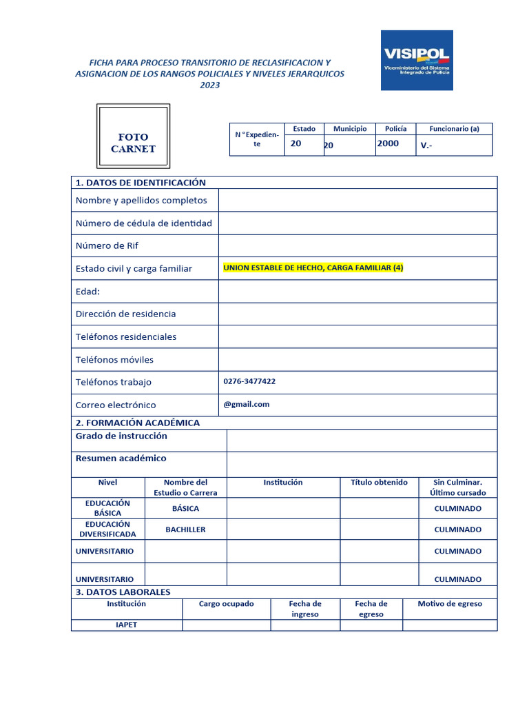 Curriculo Visipol Formato | PDF