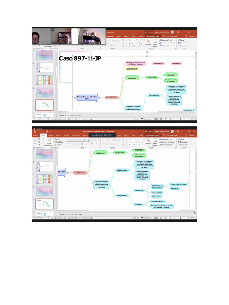 Analisis Caso Asilo | PDF