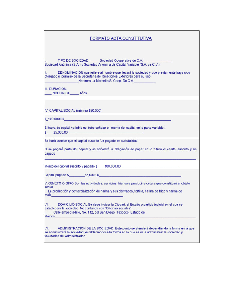Formato de Acta Constitutiva | PDF