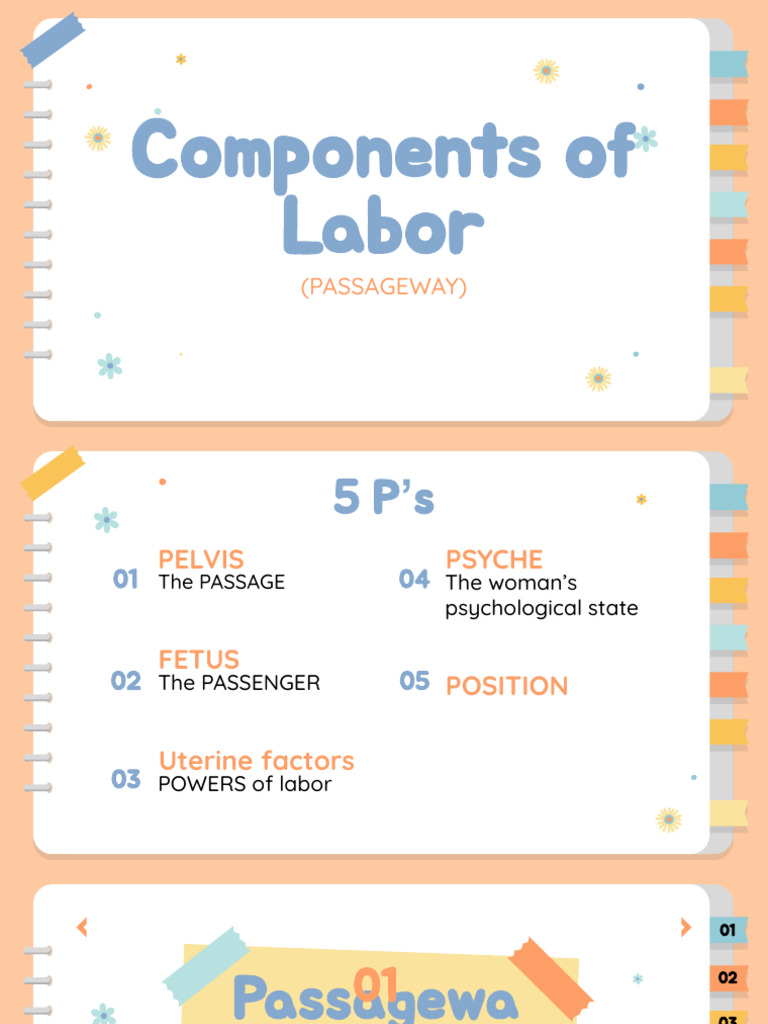 OB LEC Components-of-Labor-Passageway | PDF