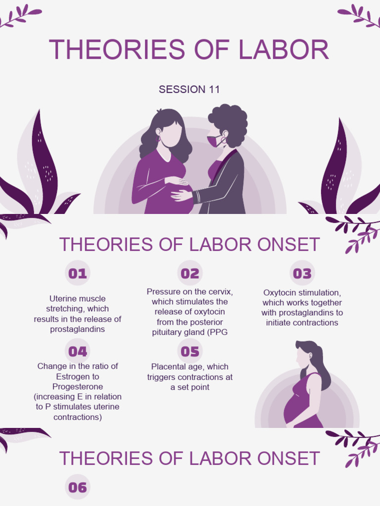Ob Lec - Theories of Labor | PDF | Childbirth | Uterus