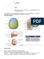 Escala FindRisc | PDF | Diabetes | Salud pública