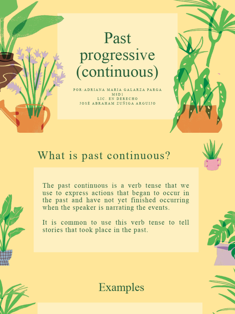 Past Progressive Continuous | PDF | Verb | Language Mechanics