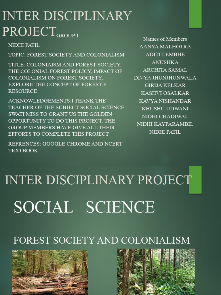 Inter Disciplinary Project Pdf Ecosystem Forests