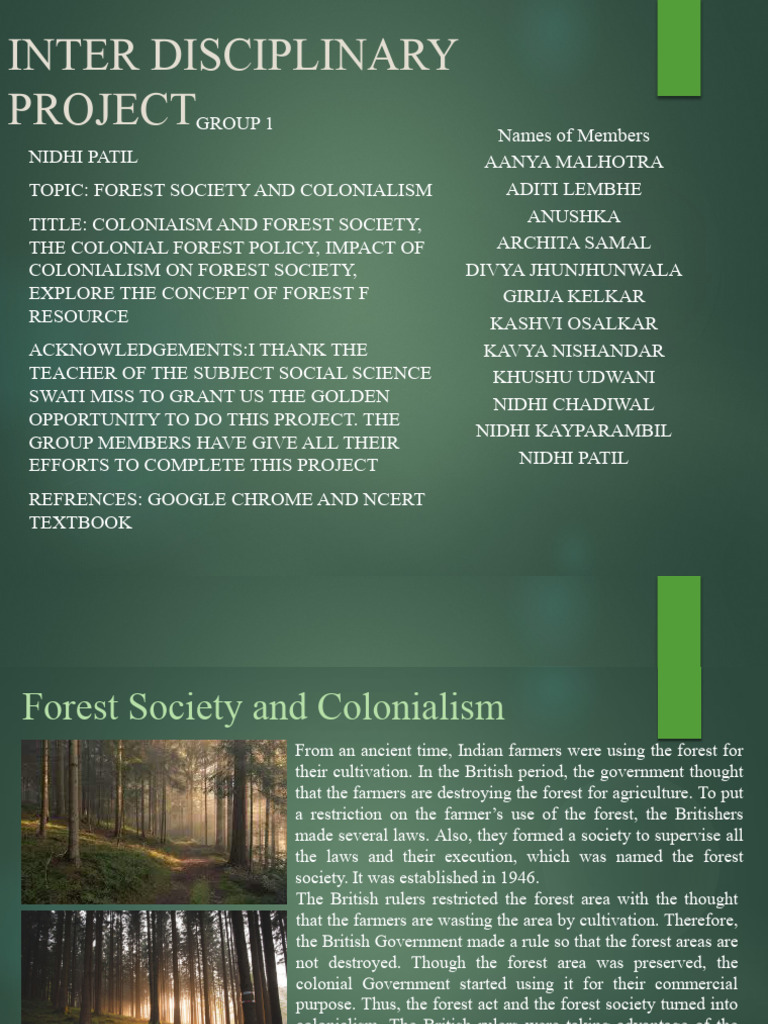 Inter Disciplinary Project | PDF