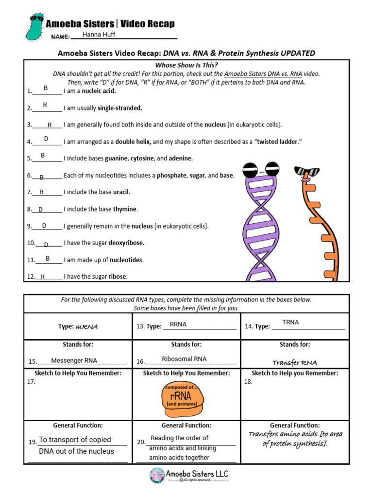 Kami Export - Hanna Huff - Amoeba Sisters - DNA Vs RNA 1 | PDF | Rna | Dna