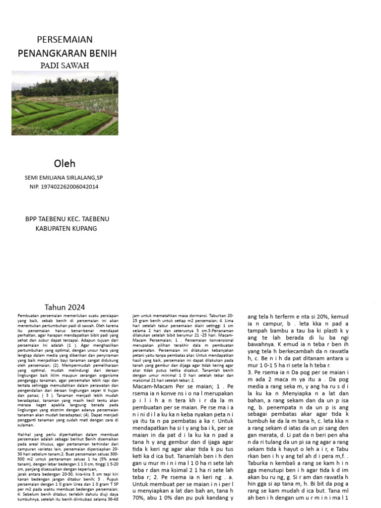 Persemaian Penangkaran Benih Padi Sawah | PDF | Griya & Taman