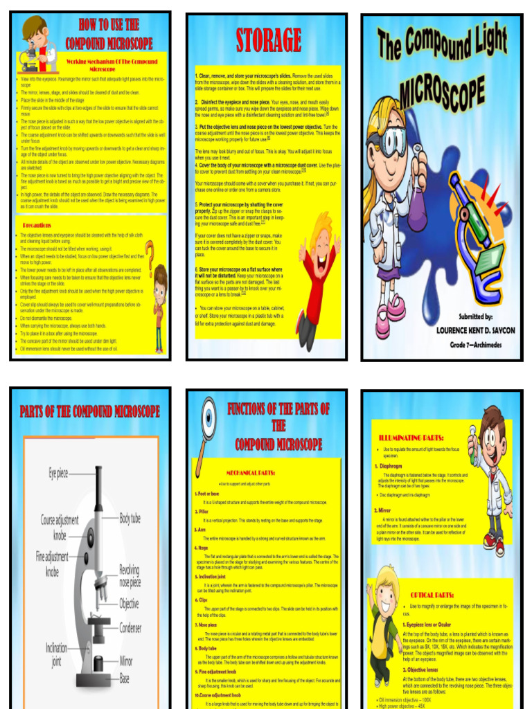 Brochure Microscope | PDF