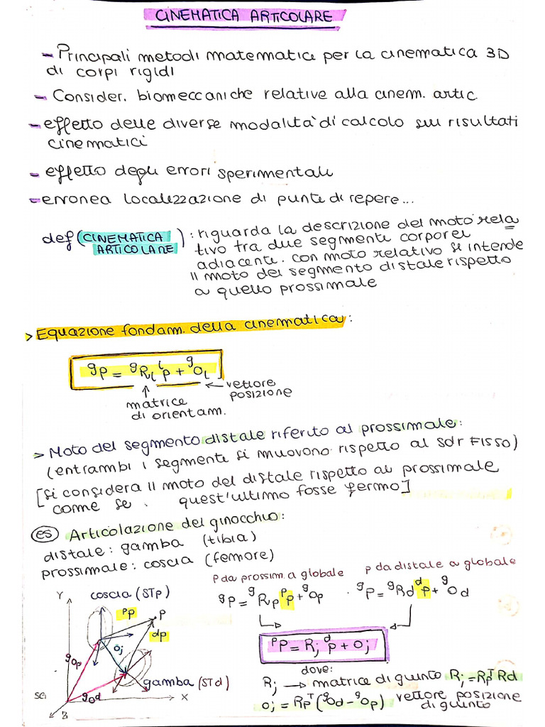 Cinematica Articolare (Schemi+esercizi) | PDF