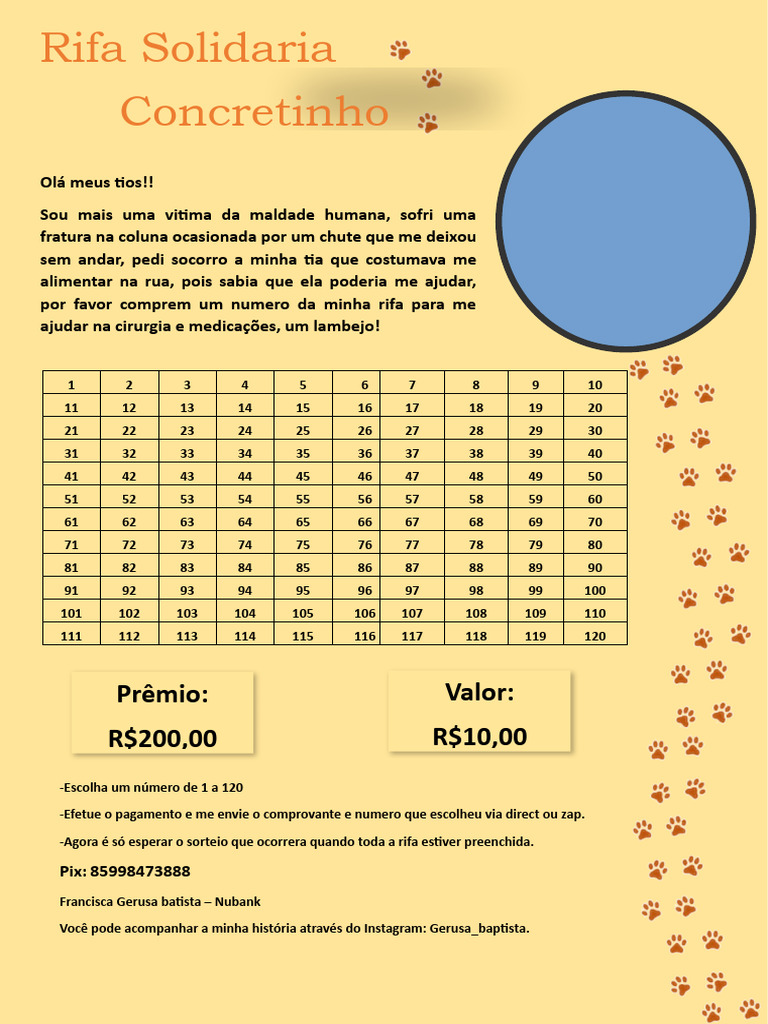 Rifa Solidaria | PDF