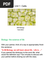 Name: Virtual Microscope by BIONETWORK: Online Edition | PDF | Optical ...