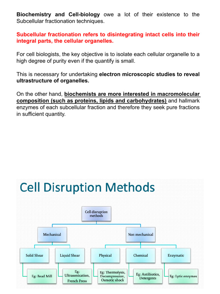 Subcellular Fractionation Techniques | PDF