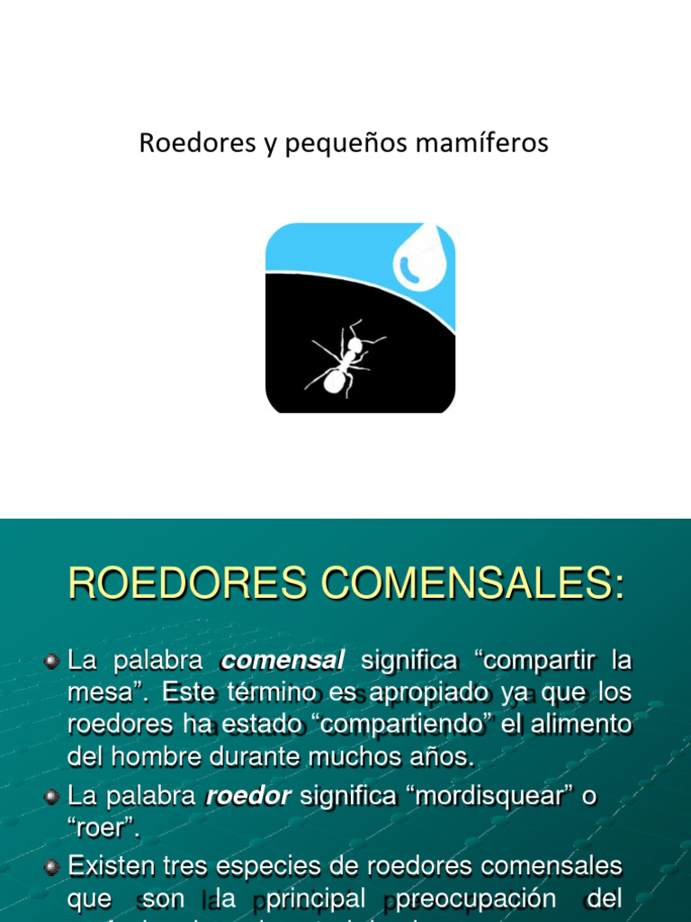 Roedores Adicional | PDF