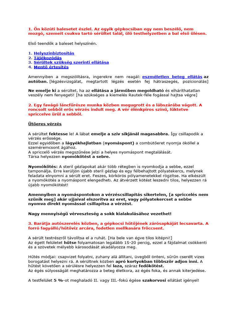 Helyszínbiztosítás Tájékozódás Sérültek Szükség Szerinti Ellátása Mentő ...