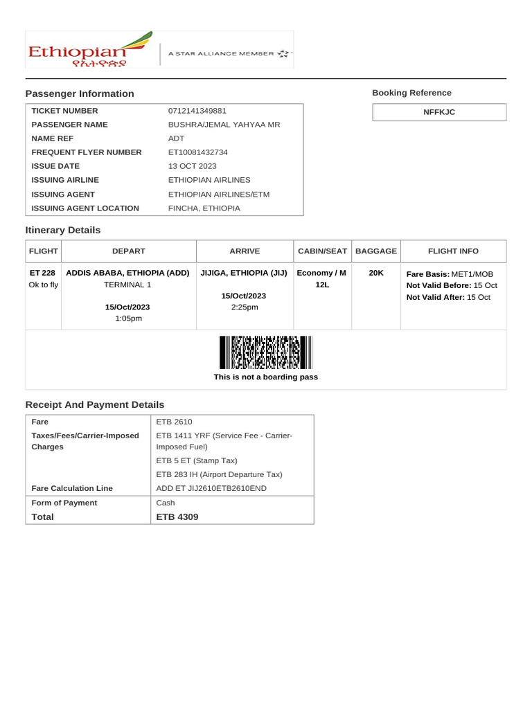 Electronic Ticket Receipt, October 15 For MR JEMAL YAHYAA BUSHRA ...