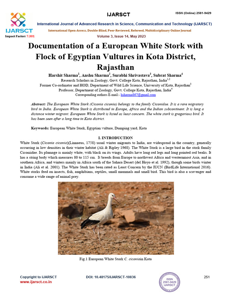 Documentation of A European White Stork With Flock of Egyptian Vultures in Kota District ...