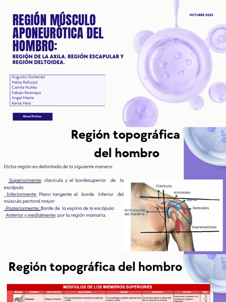 Tema 10. Morfo II. Kenia | PDF | Hombro | Anatomía humana