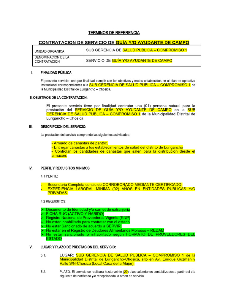 Modelo TDR Unico Entregable | PDF