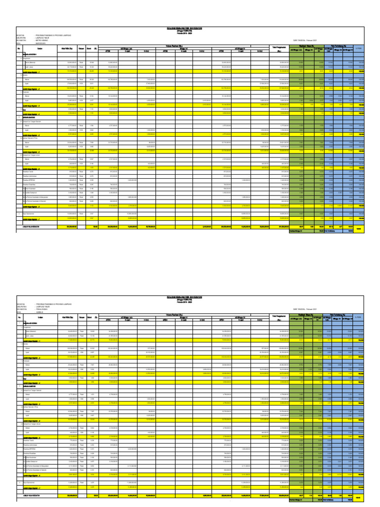 20.progres Mingguan (30 Des-10 Jan 2021) Tim 2 Lamtim | PDF