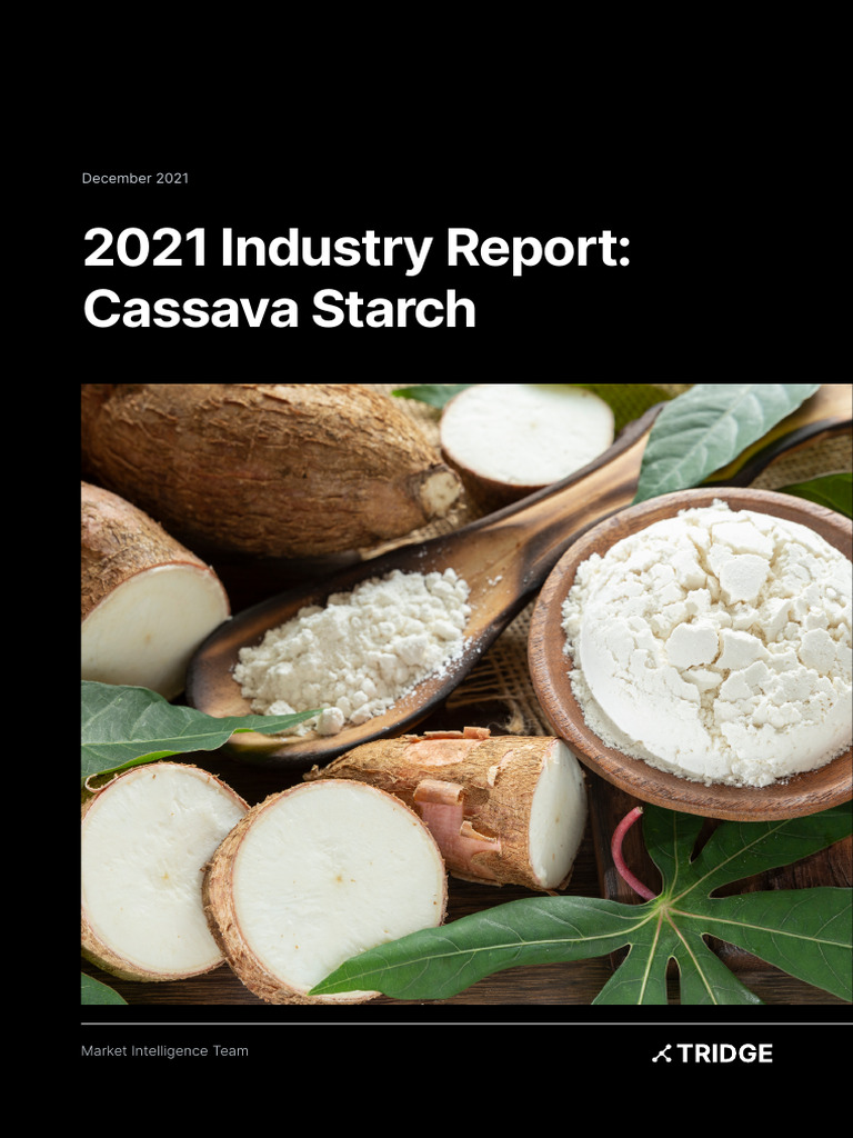 Updated Cassava Starch Industry Report | PDF | Starch | Maize