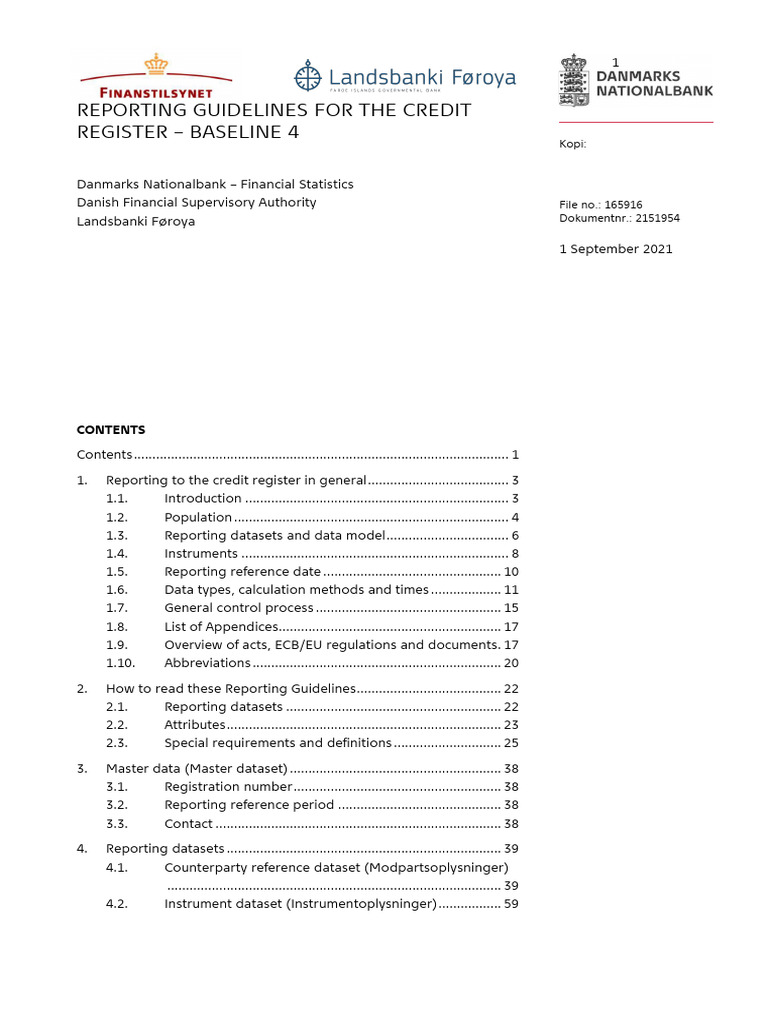Guidelines Baseline 4 - Without TT | PDF | Finance & Money Management | Credit