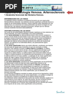 Doppler Venoso Mmii Safena Magna y Parva | PDF | Vena | Sistema ...