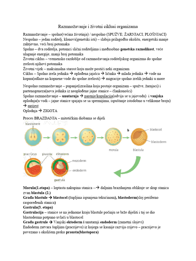 BIOLOGIJA | PDF