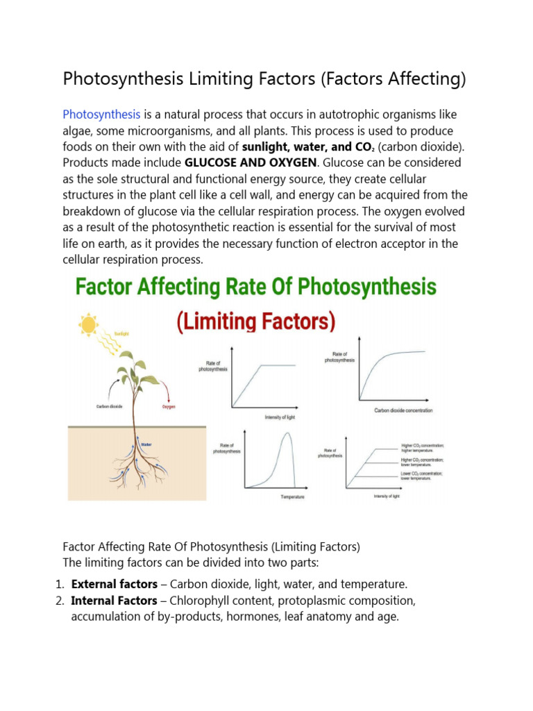 (25774) Photosynthesis Limiting Factors | PDF | Photosynthesis | Stoma