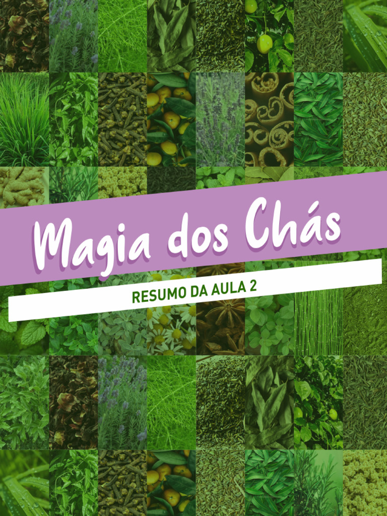 Presente Aula 2 | PDF