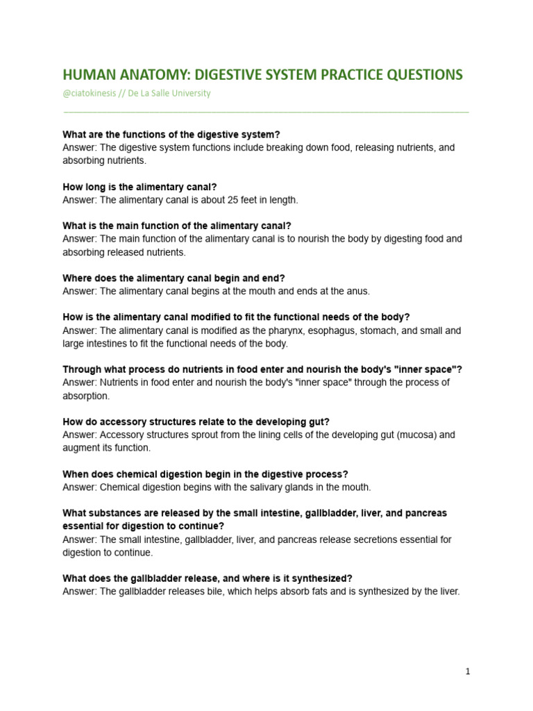 Digestive System Practice Questions With Answers | PDF