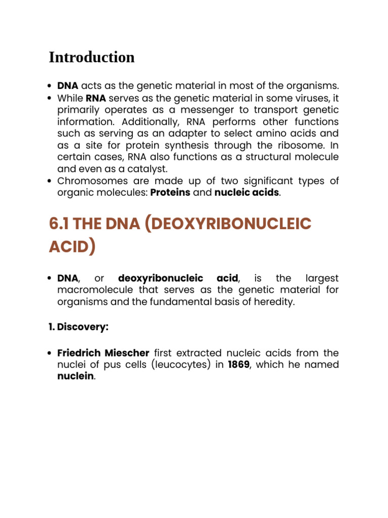 6.molecular Basis of Inheritance | PDF | Operon | Translation (Biology) 6.molecular Basis of Inheritance | PDF | Operon | Translation (Biology)