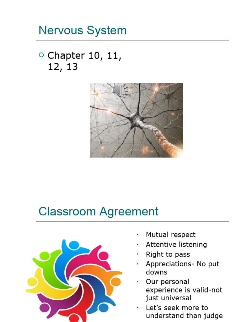 Week10 Nervous System Student | PDF
