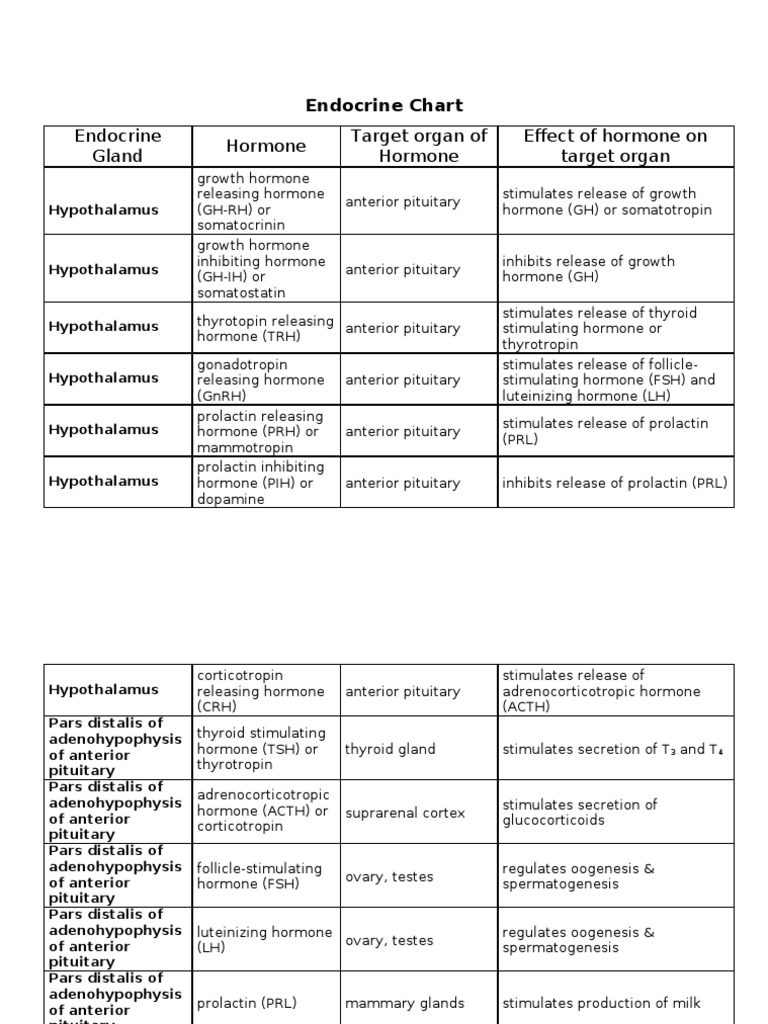 Endocrine Glands Chart