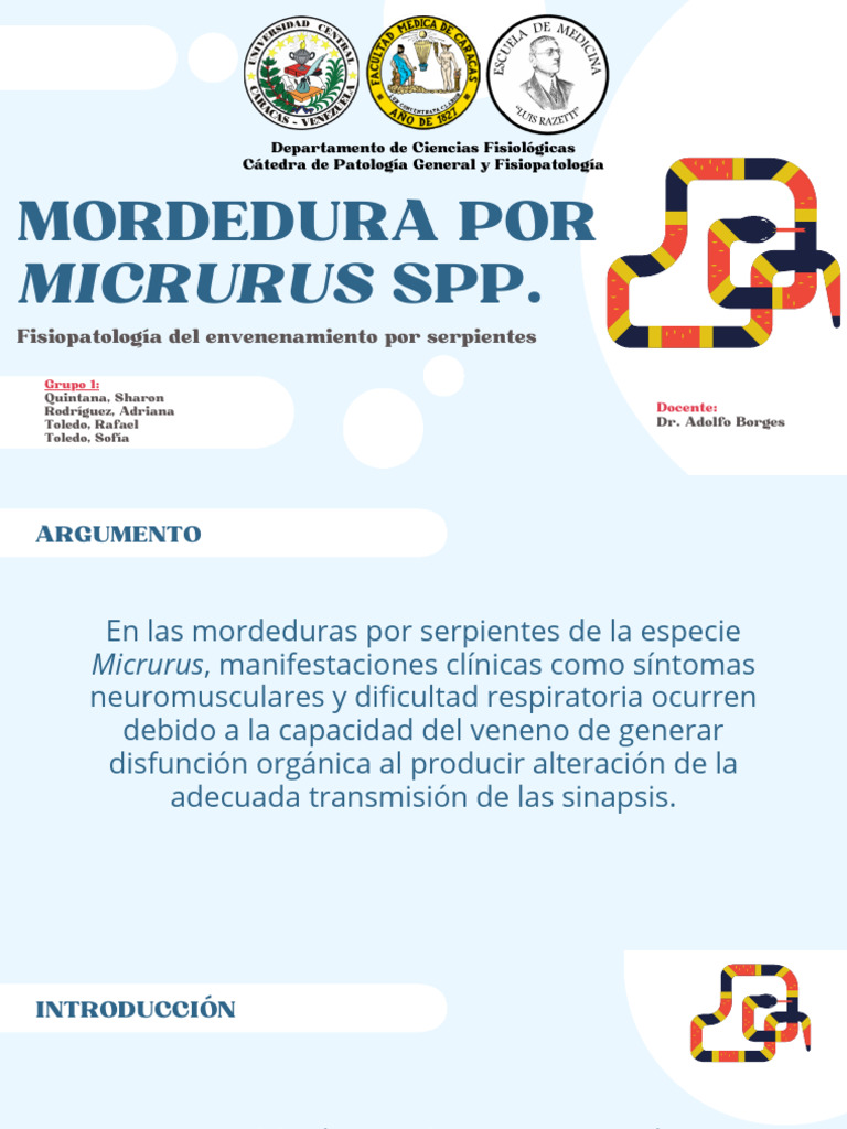 Fisiopatología de mordeduras por Micrurus | PDF