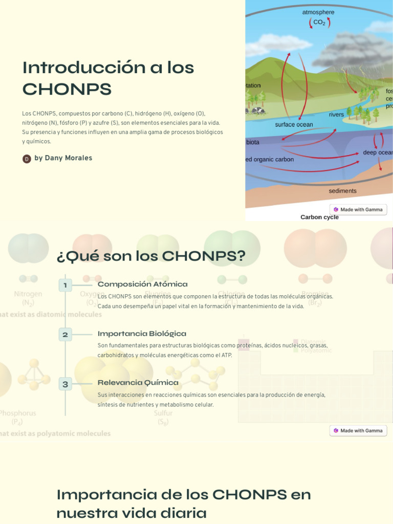 Introduccion A Los CHONPS | PDF | Alimentos | Nutrientes