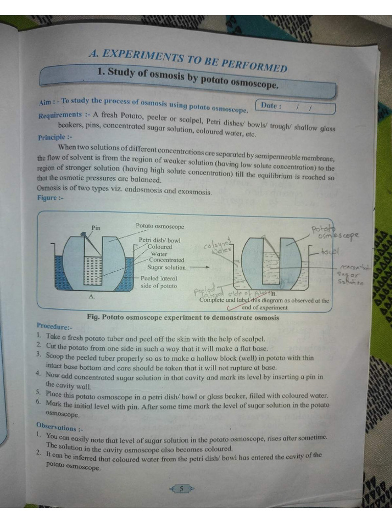 12TH Bio Practical - Merged | PDF