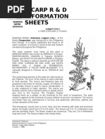 Cacana: Medicinal Uses in Mozambique | PDF