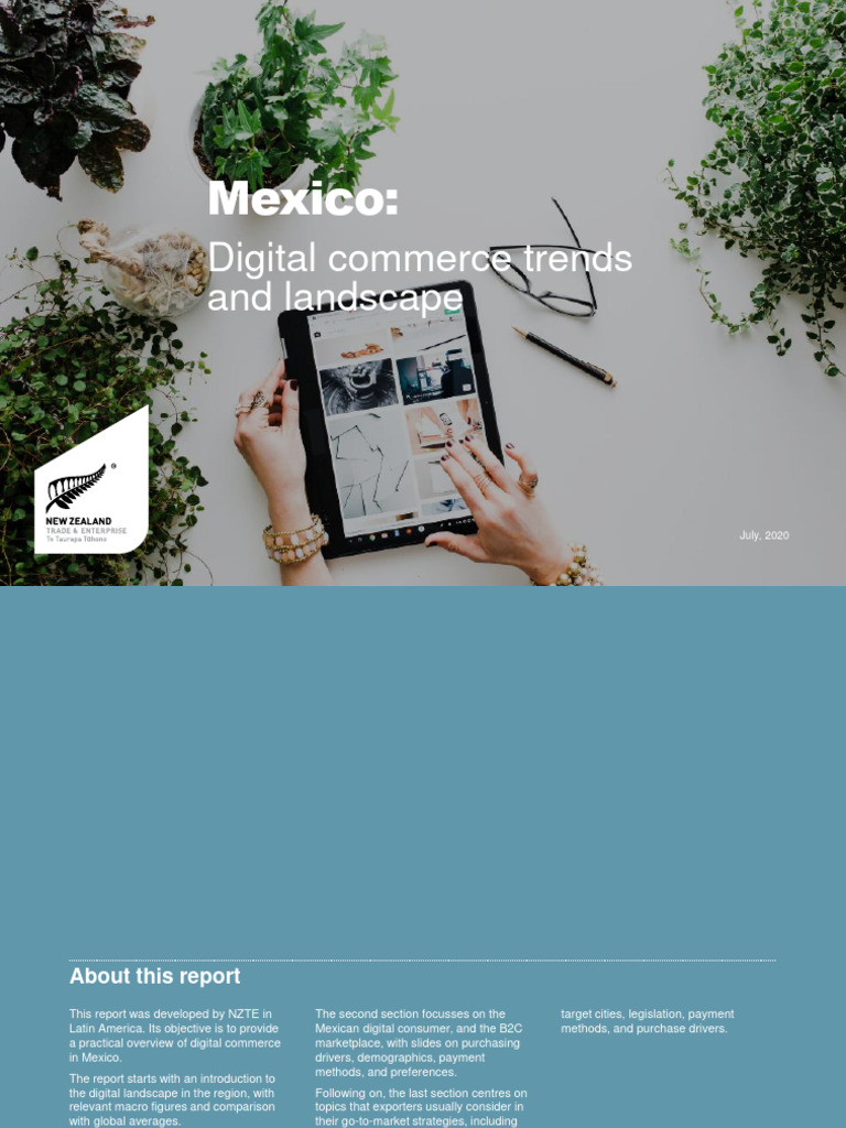 Mexico Digital Commerce Landscape Statista July 2020 | PDF
