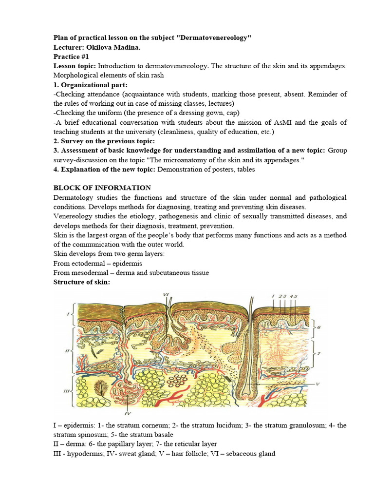 Plan of Practical Lesson On The Subject | PDF