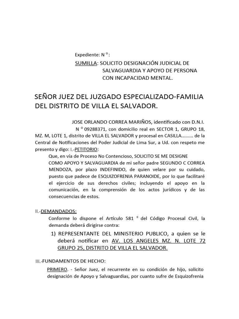 Solicito Designación Judicial de Salvaguardia y Apoyo de Persona Con ...