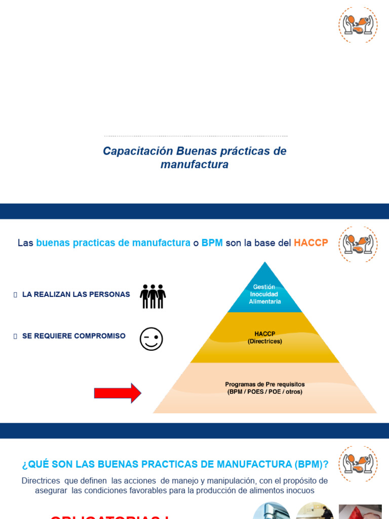 Capacitación Buenas Prácticas - PPTX VM | PDF