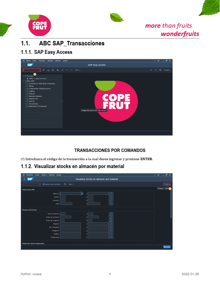 Standard | PDF | Negocios | Informática