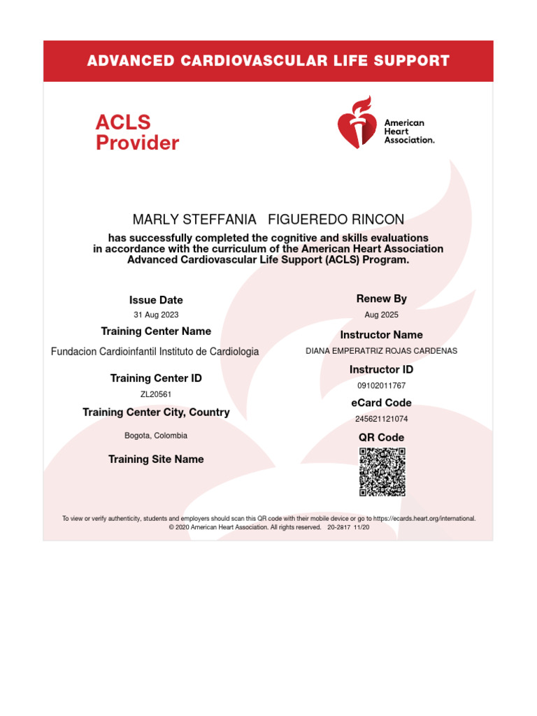 Acls Provider: Advanced Cardiovascular Life Support | PDF