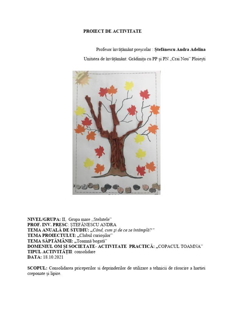 Proiecte Didactice | PDF