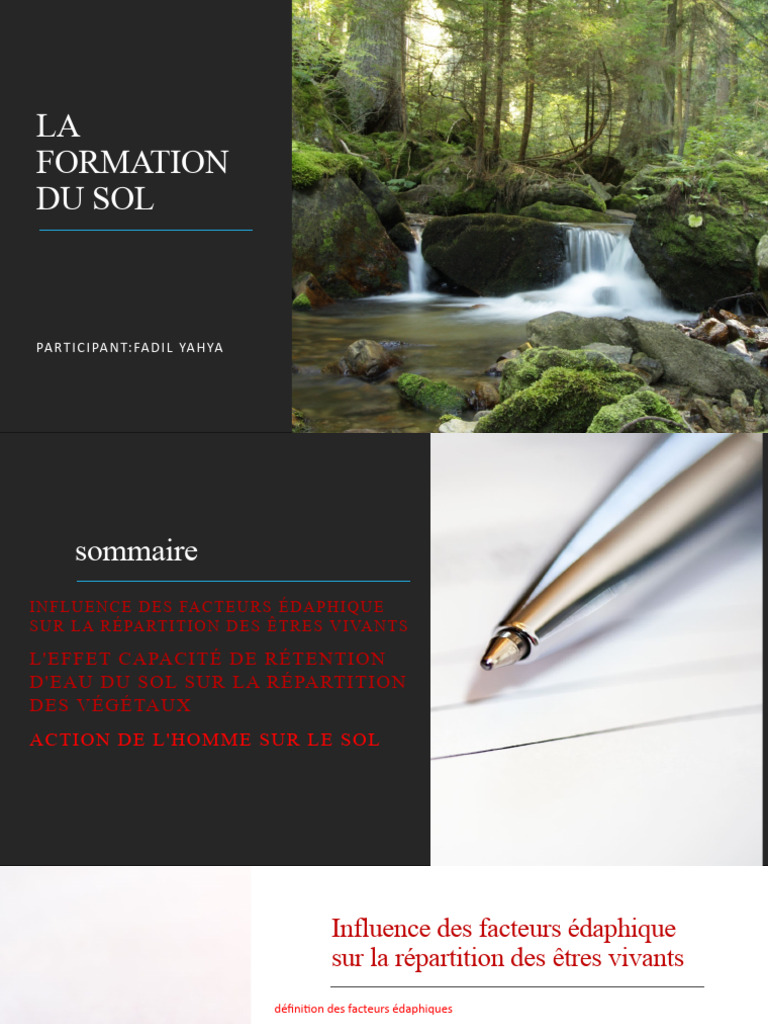 Presentation 1 SVT | PDF