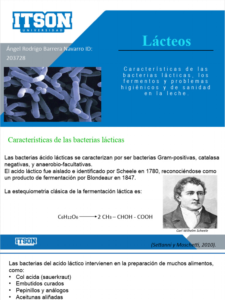 Caracteristicas de Las Bacterias Acido Lacticas | PDF