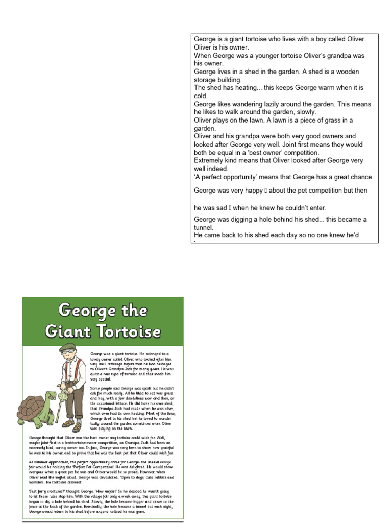 George the Giant Tortoise Story Quiz | PDF