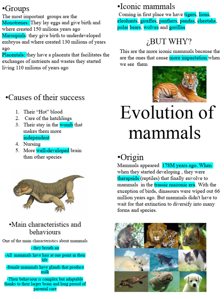 Copia de Plantilla Poster Evolution Bio-1 | PDF | Mammals | Organisms