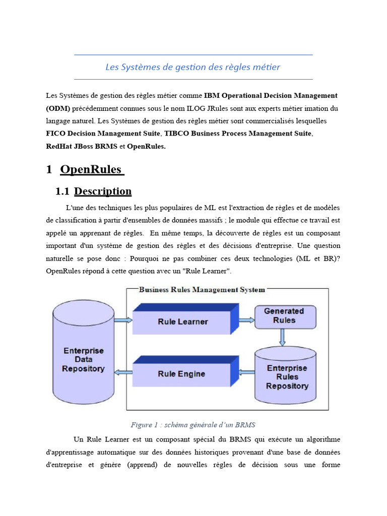 OpenRules : Apprentissage Automatique et Gestion des Règles | PDF