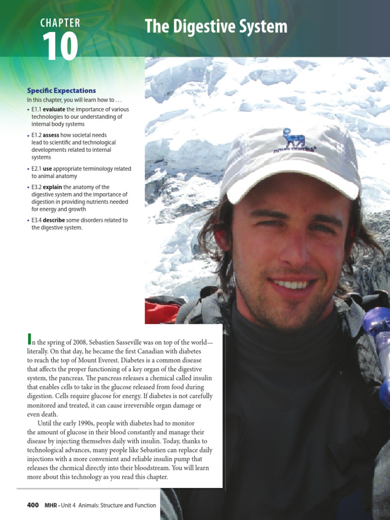 Bio-Chapter 10-The Digestive System | PDF | Human Digestive System ...